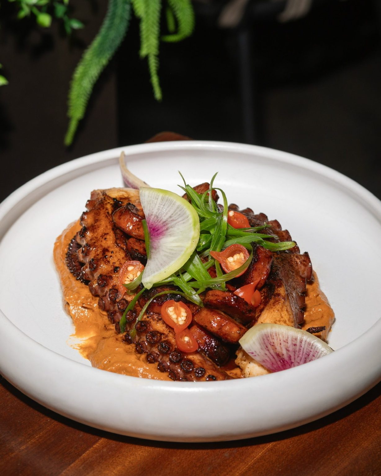 Home | Veranda Lounge